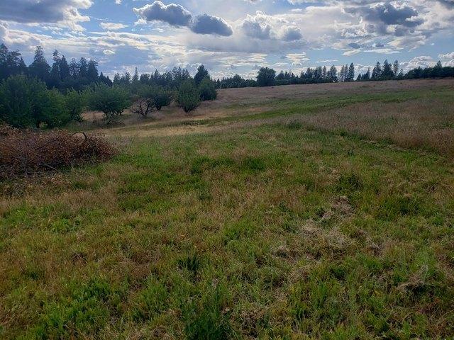 10 Braeburn Ln, Placerville, CA 95667