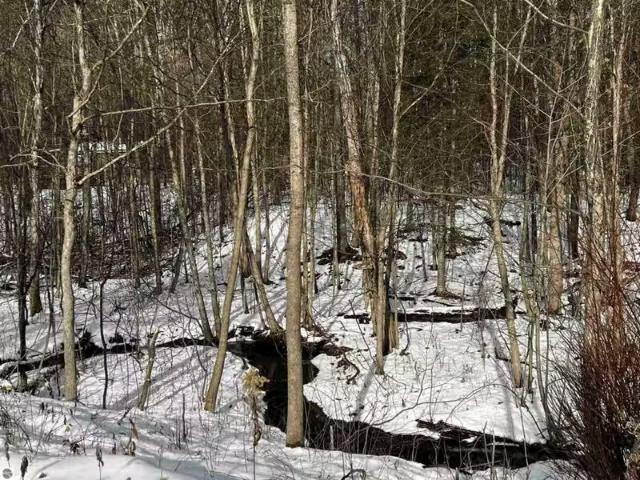 10 C PRESTON ROAD NE, KALKASKA, MI 49646 Vacant Land For Sale.