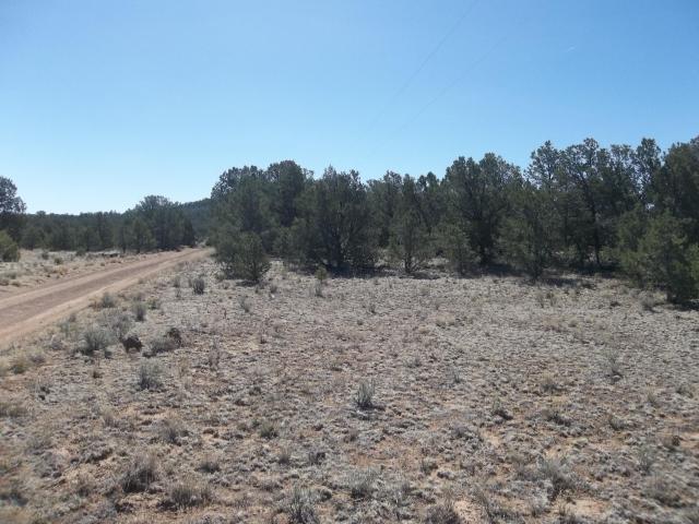 10 Camino De Fusilero Road