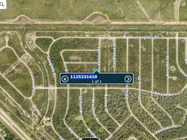 10 Calaba St Port, North Port, FL 34288 | MLS #C7497