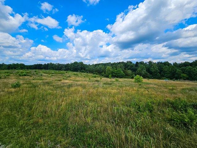 10 Cornetts Cv Rd, Hustonville, KY 40437