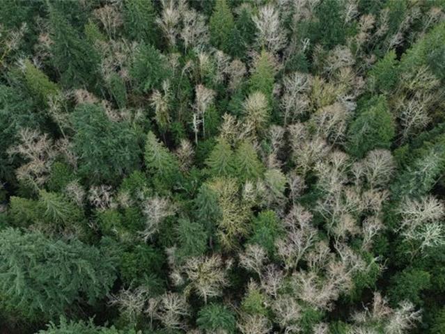 10 E St Lot 10, Bellingham, WA 98225