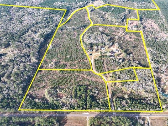 10 FM 787, Saratoga, TX 77585