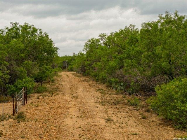10 FM 1581 Lot 0, Pearsall, TX 78061