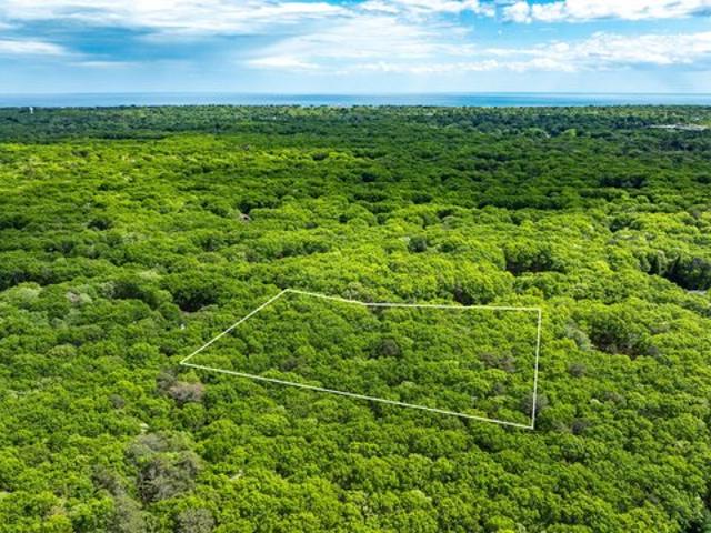 10 Grape Arbor Ln, East Hampton, NY 11937