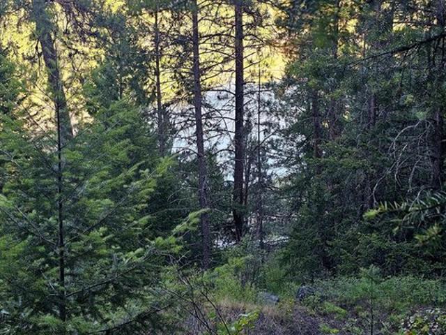 10 Humes Rd, Kettle Falls, WA 99141