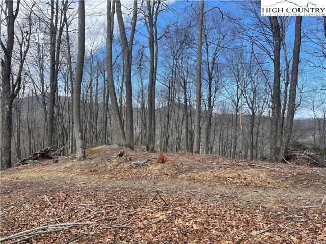 10 Jackson Ridge Road