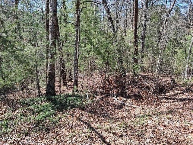 10 John Boy Trl, Sevierville, TN 37862