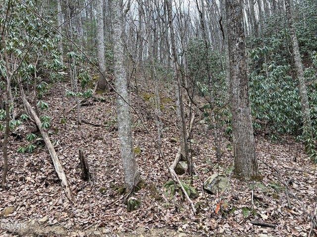 10 John Sevier Dr, Sevierville, TN 37876