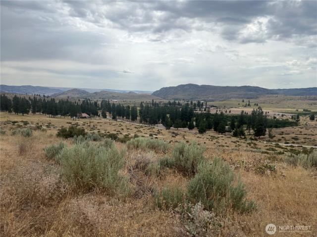 10 Landers Rd, Malott, WA 98829 | MLS #2409