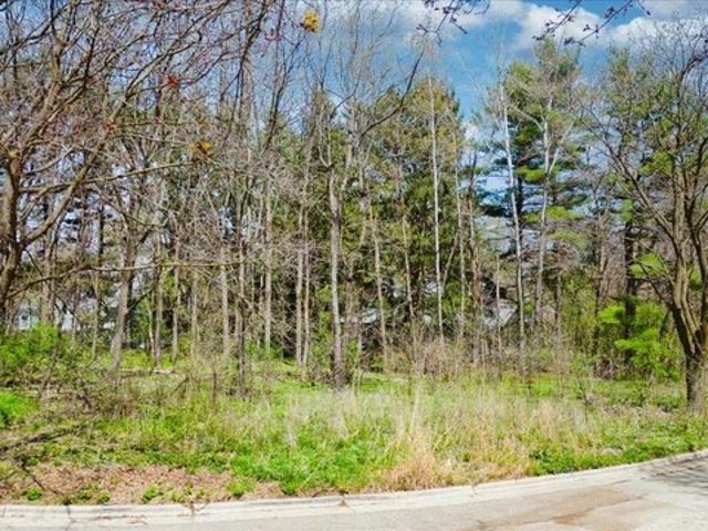 10 Larch Cir Lot 2, Madison, WI 53705