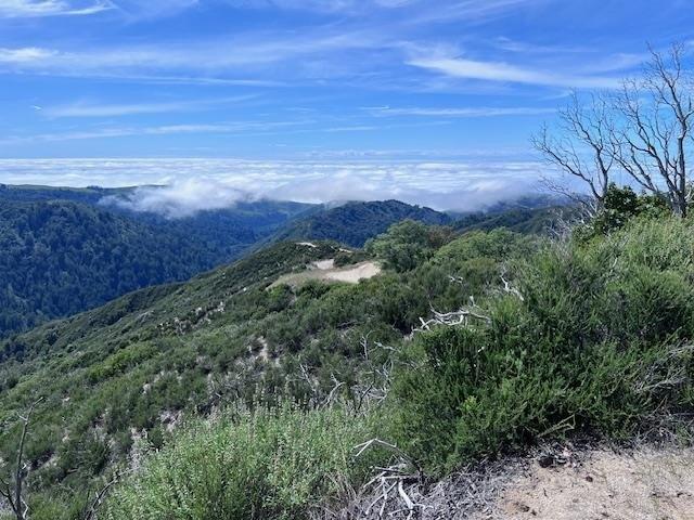 10 Long Rdg, Carmel, CA 93923