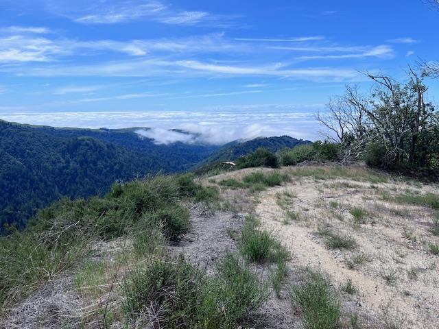 10 Long Ridge Palo Colorado Rd, Carmel, CA 93923 | MLS #ML82045