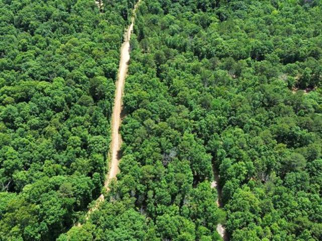 10 Lute Mountain Rd, Shirley, AR 72513