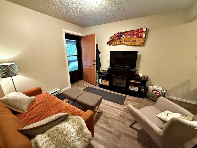 10 Mace Mountain Vw, Slatyfork, WV 26291