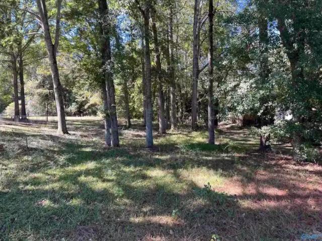 10 MEADOW WOOD RD, GADSDEN, AL 35901