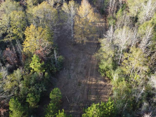 10 Mile Creek Road, Foxworth, MS 39483