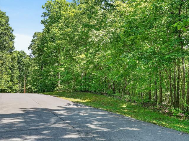 10 Mountain Harbor Trce
