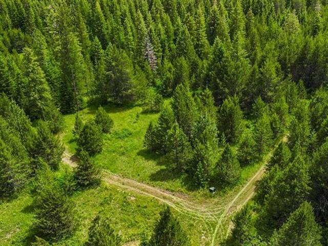 10 N Whispering Pines Ln, Elk, WA 99009