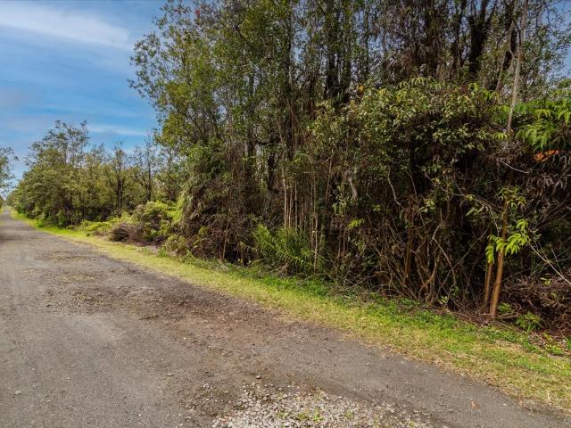 10 Ohelo St, Mountain View, HI 96771 | MLS #720161