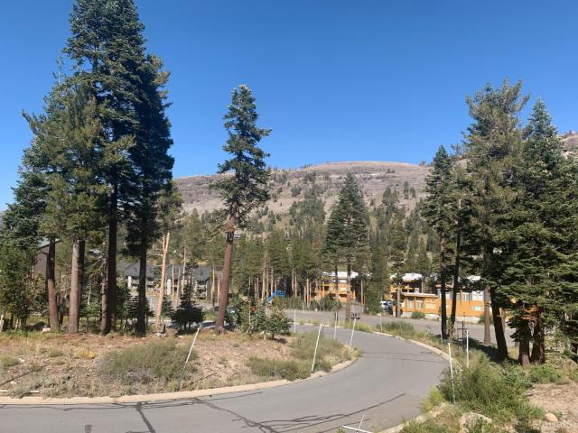 10 Palisades Dr, Kirkwood, CA 95646 | MLS #142183