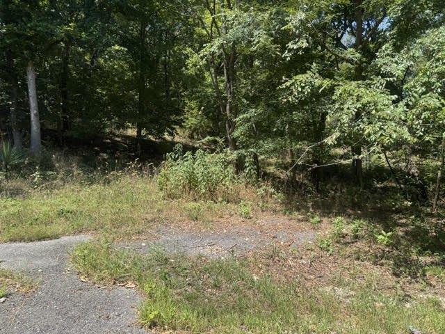 10 Pine Ln Lot 67, Holiday Island, AR 72631
