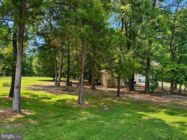 10 Pine View Court