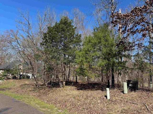 10 Princesa Pl, Hot Springs Village, AR 71909