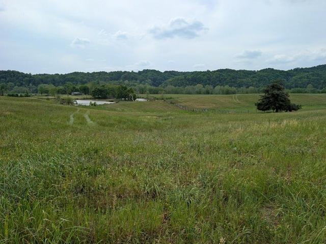 10 Rivertown Rd, Burkesville, KY