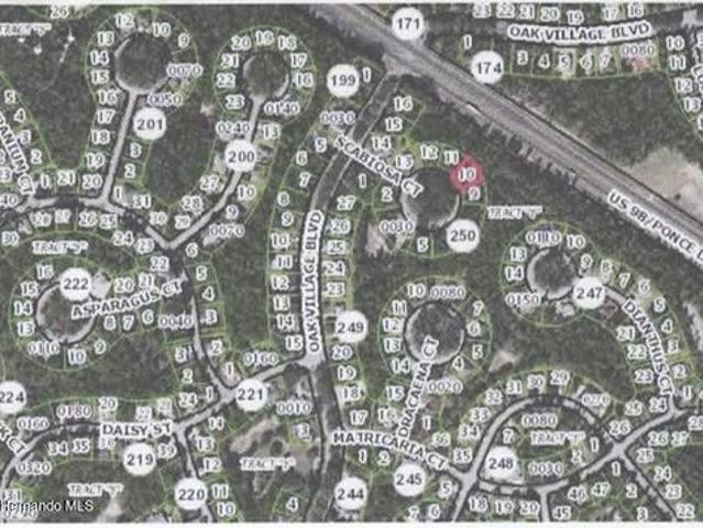 10 Scabiosa Ct, Homosassa, FL 34446