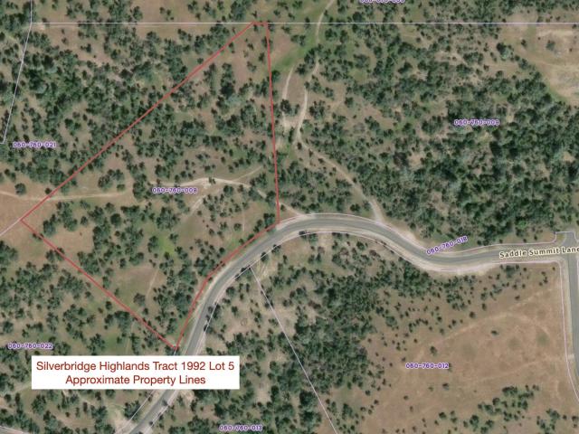 10 Saddle Summit Ln, Palo Cedro, CA 96073 | MLS #26 406