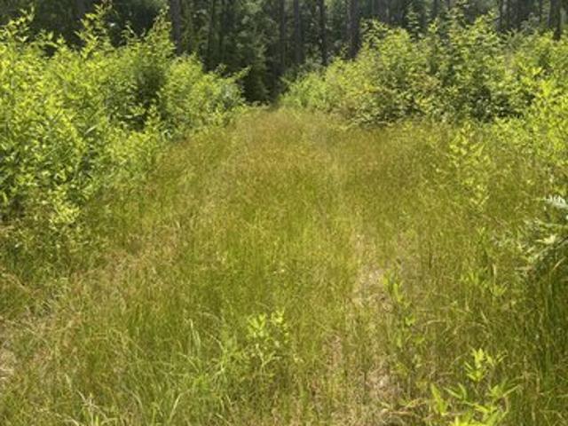 10 Sunhill Grange Rd, Davisboro, GA 31018