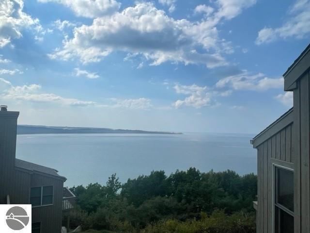 10A Pinnacle Homestead Pl Unit The, Glen Arbor, MI 49636