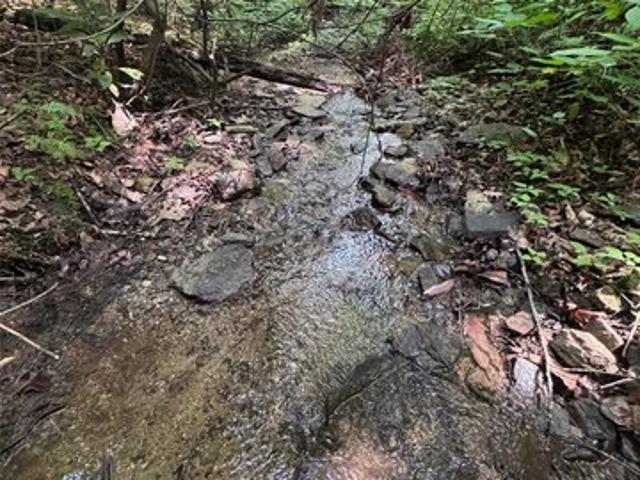 10A Reserve Rd, Brevard, NC 28768