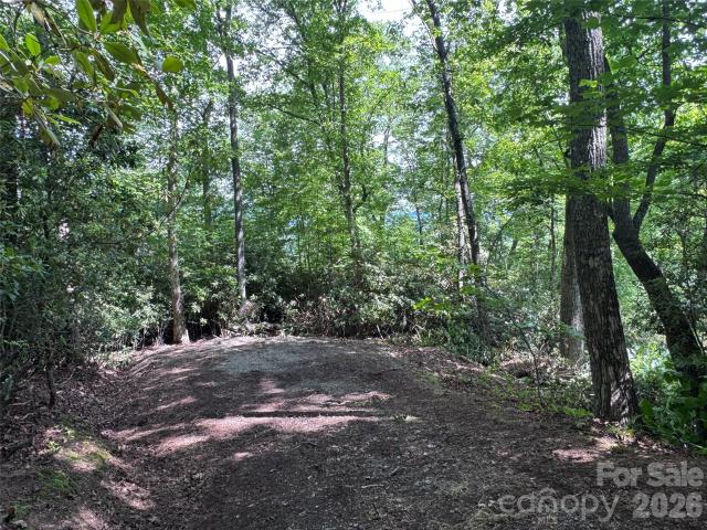 10A Reserve Road