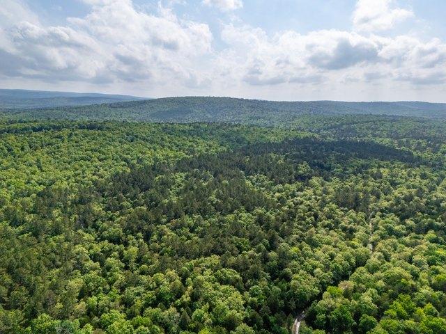 10AC Bengal Rd, Red Oak, OK 74563