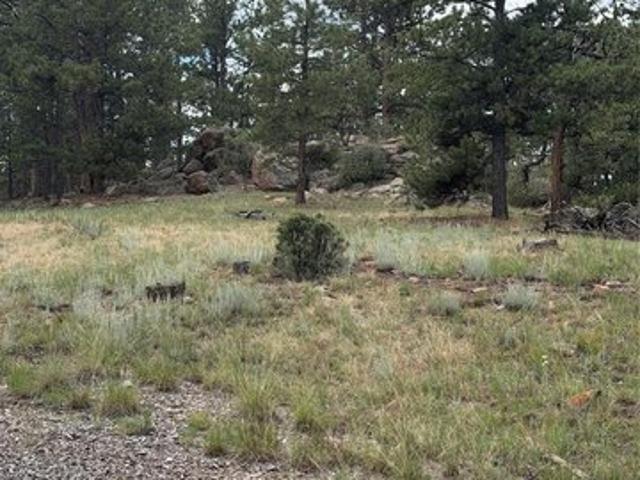 11042 Teller County Road 1, Florissant, CO 80816