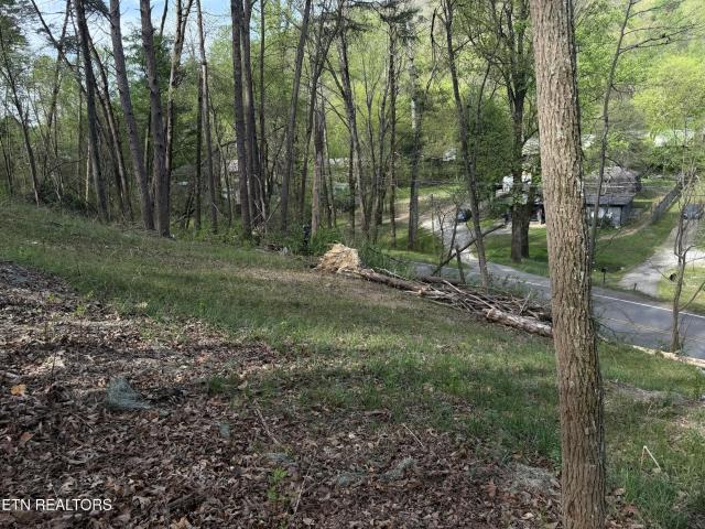 11044 Loop Rd, Soddy Daisy, TN 37379 | MLS #1331 | Compass