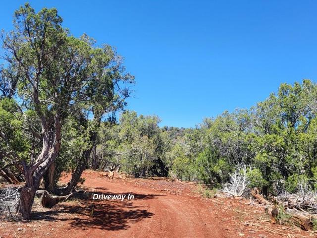 11044 Six Shooter Trail # 202