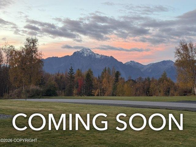 11045 E John Henry Cir, Palmer, AK 99645