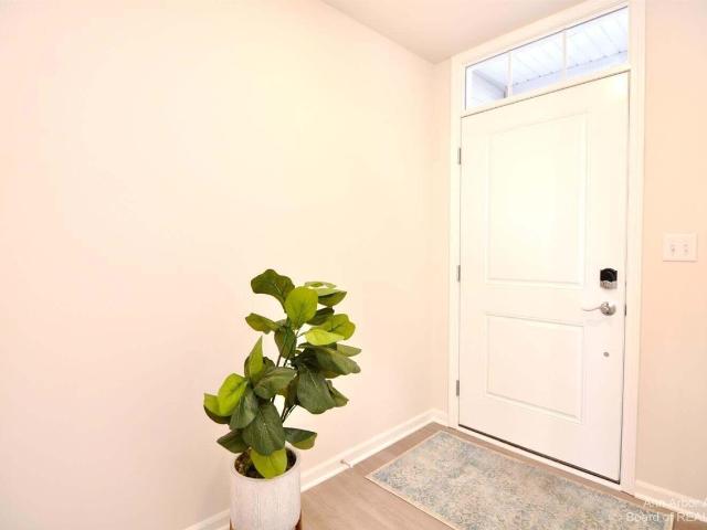 1104 Salt Springs Drive