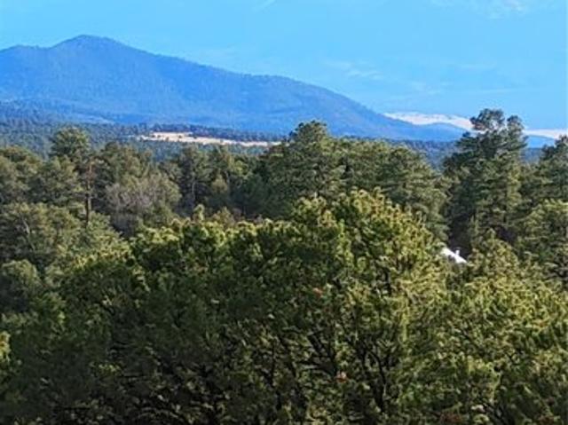 1105 Owens Ln, Cotopaxi, CO 81223