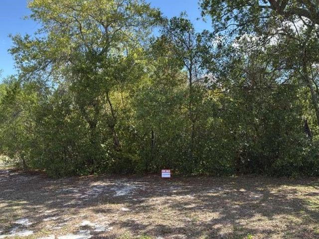 1105 Grapefruit Ave, Sebring, FL 33870 | MLS #O6376