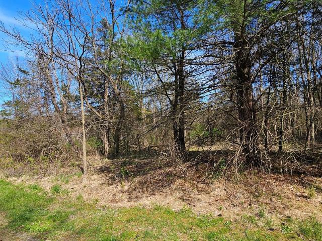 1105 Sleepy Hollow Road