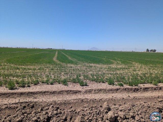 1105 W Aten Dr, Seeley, CA 92273