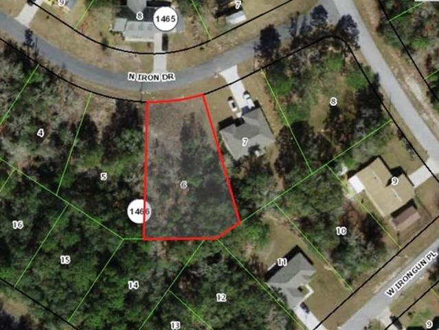 11060 N Iron Dr, Citrus Springs, FL 34434