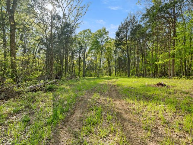 11065 Franklin Rd, Murfreesboro, TN 37128 | MLS #3000