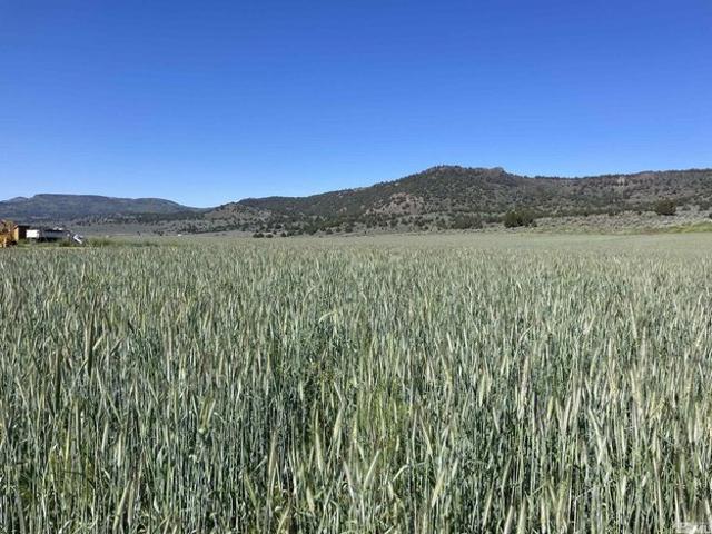 11069 Mosquito Rd, Gerlach, NV 89412