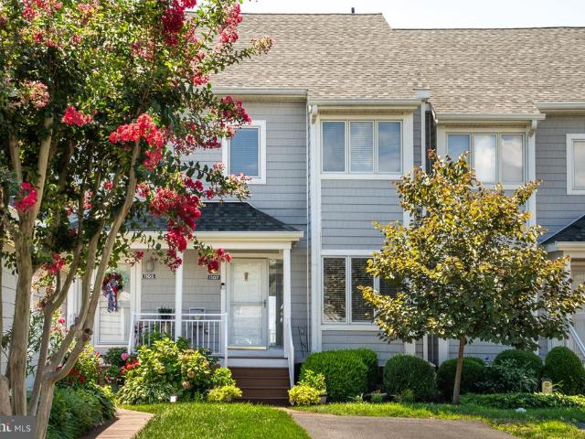 1107 Oyster Cove Drive