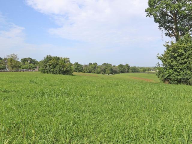 1107 Equestrian Lakes Lane